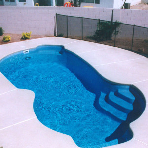 Inground Swimming Pool Designs and Ideas