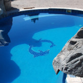 Fiji - Large Latham Freeform Swimming Pool | Fiberglass Pool Shells ...